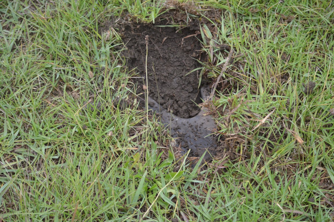 Shooting the anvil - successfully carried out in Glencoe | Northern ...