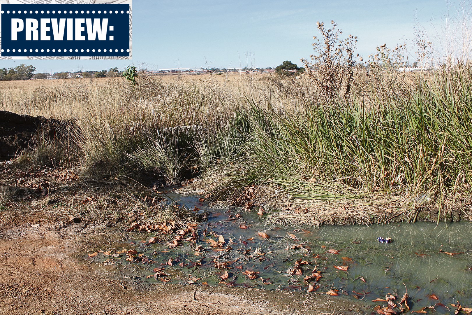 PREVIEW: Has sewage polluted the Amcor Dam? | Northern Natal News