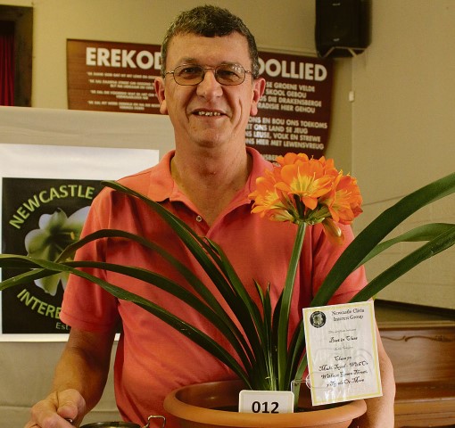 SPRING FEVER: Clivia winner blossoms in competition | Northern Natal News