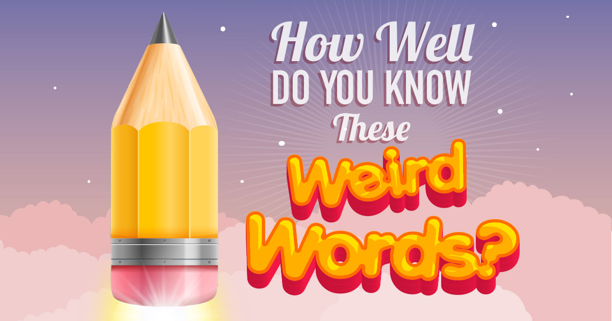 Top Ten Thursday - Weird words and their meanings | Northern Natal News