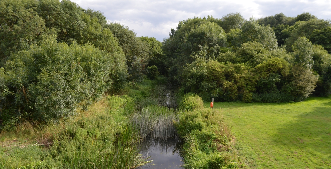 Ladysmith a nature lover’s dream location | Property | Ladysmith Gazette