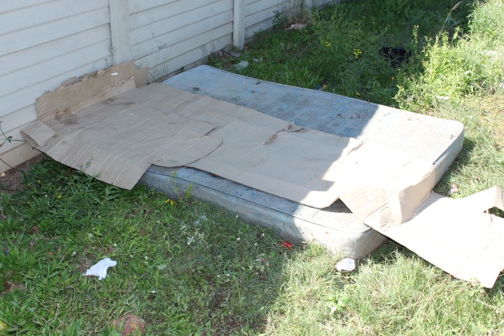 Scandalous nightly activities draws attention to illegalities ...