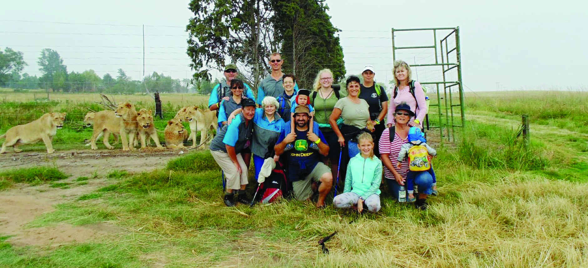 Hikers get a close-up with lions at Moreson Ranch | Northern Natal News