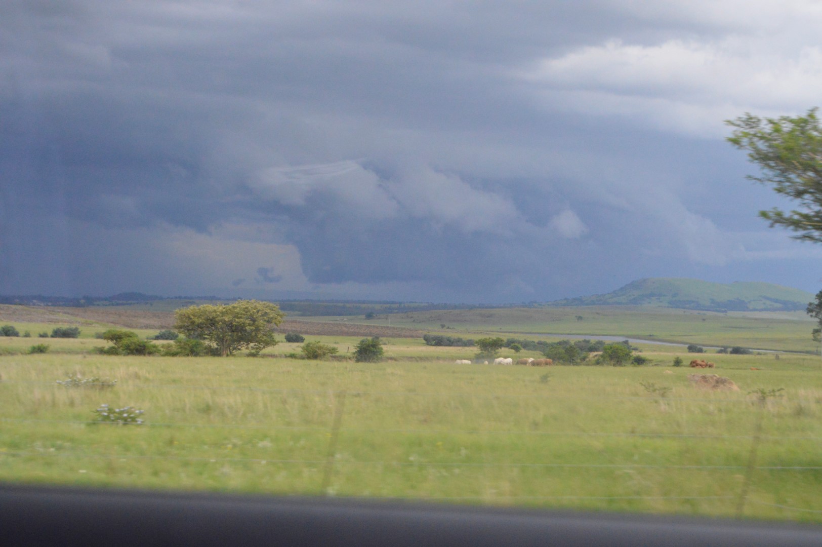 And the good rains keep on falling... | Northern Natal News