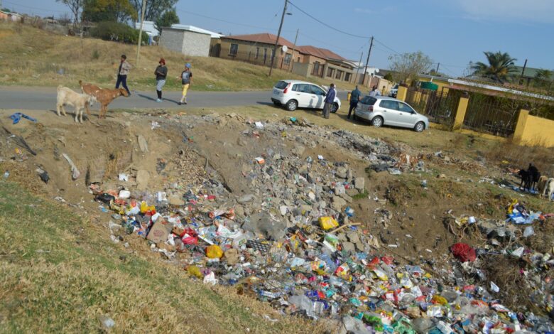 Concerned conservationist warns of health hazards caused by mass ...