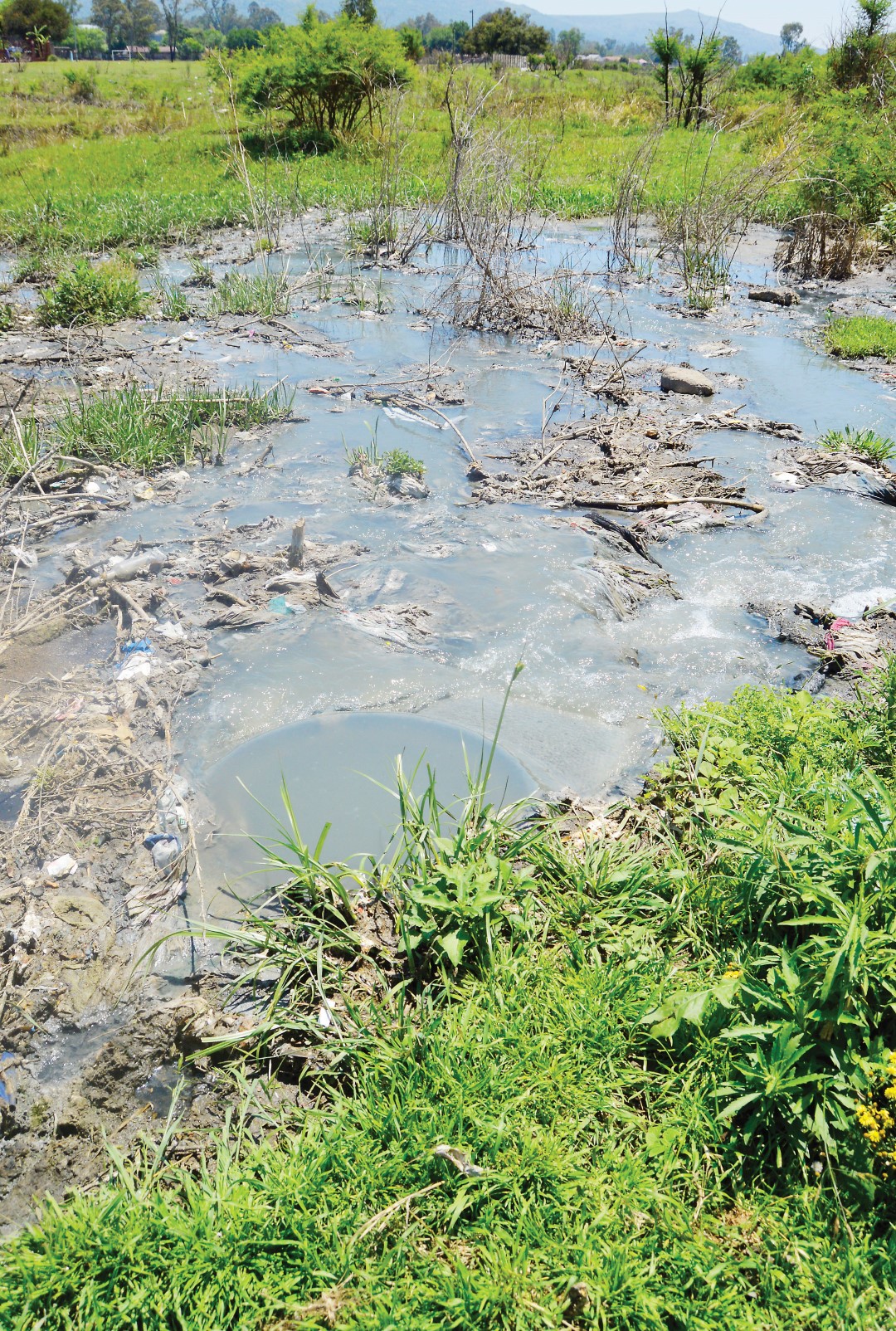 Sewage leaks causing a huge outcry (and stink) in the Dundee, Glencoe ...