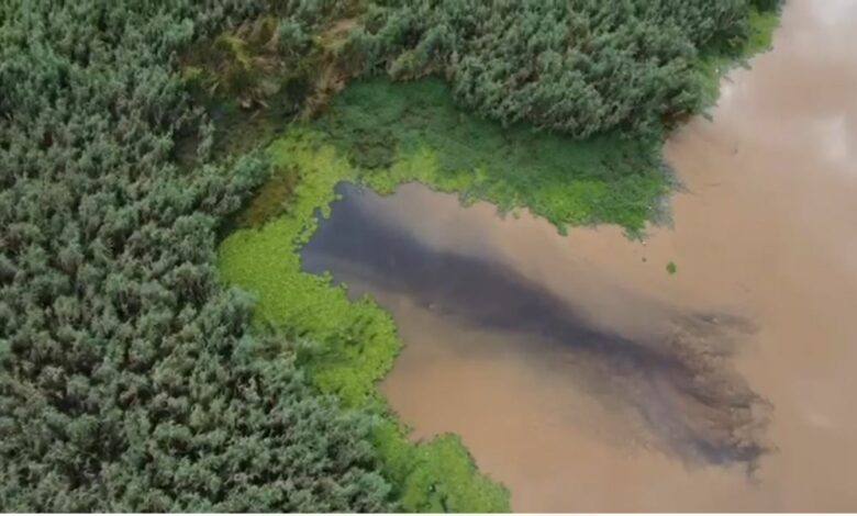 Illegal dumping, litter and sewage chokes Ncandu River | Northern Natal ...