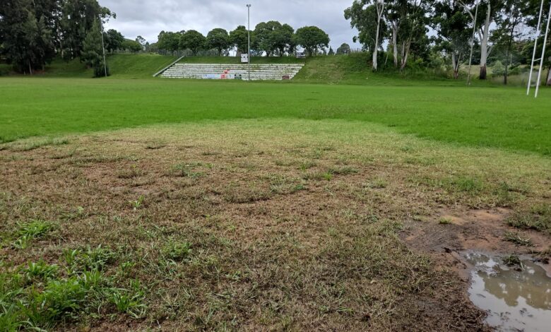 Army of worms invades local sports grounds | Northern Natal News