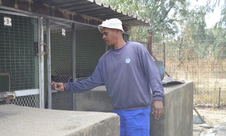 Dundee SPCA calls for support as Mandela Day nears | Northern Natal News