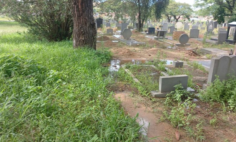 Dundee residents demand action as cemetery conditions deteriorate ...