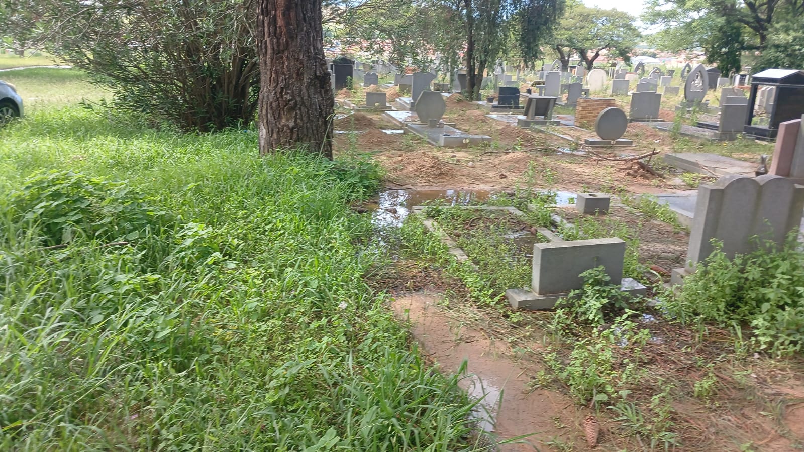 Dundee residents demand action as cemetery conditions deteriorate ...
