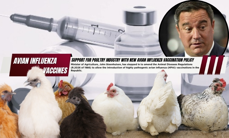 Minister approves bird flu vaccinations for poultry | Northern Natal News