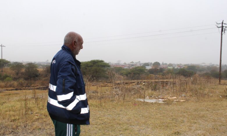 Ward 20 councillor calls for tree felling to combat crime | Northern ...