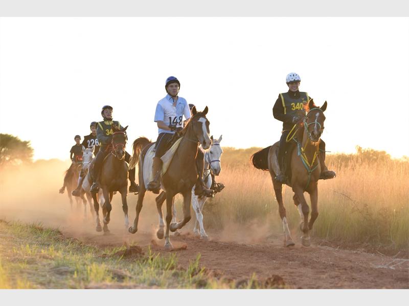 Ruiter galop hier, oorsee | Review