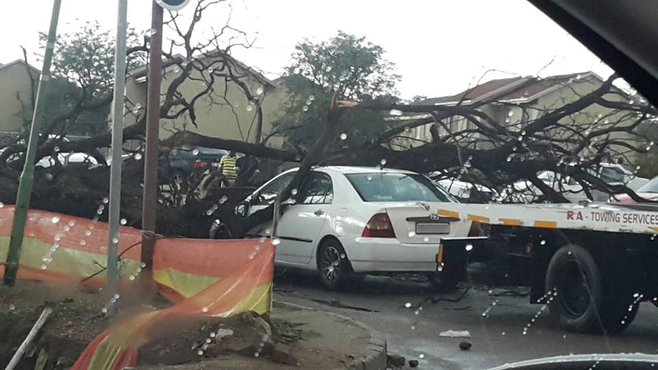 CDM disaster management team attending to aftermath of storm | Review