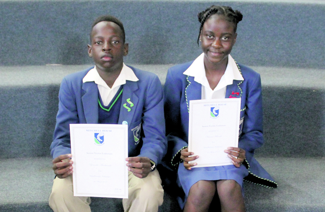 Mitchell House celebrates 25 years, rewards excellence | Review