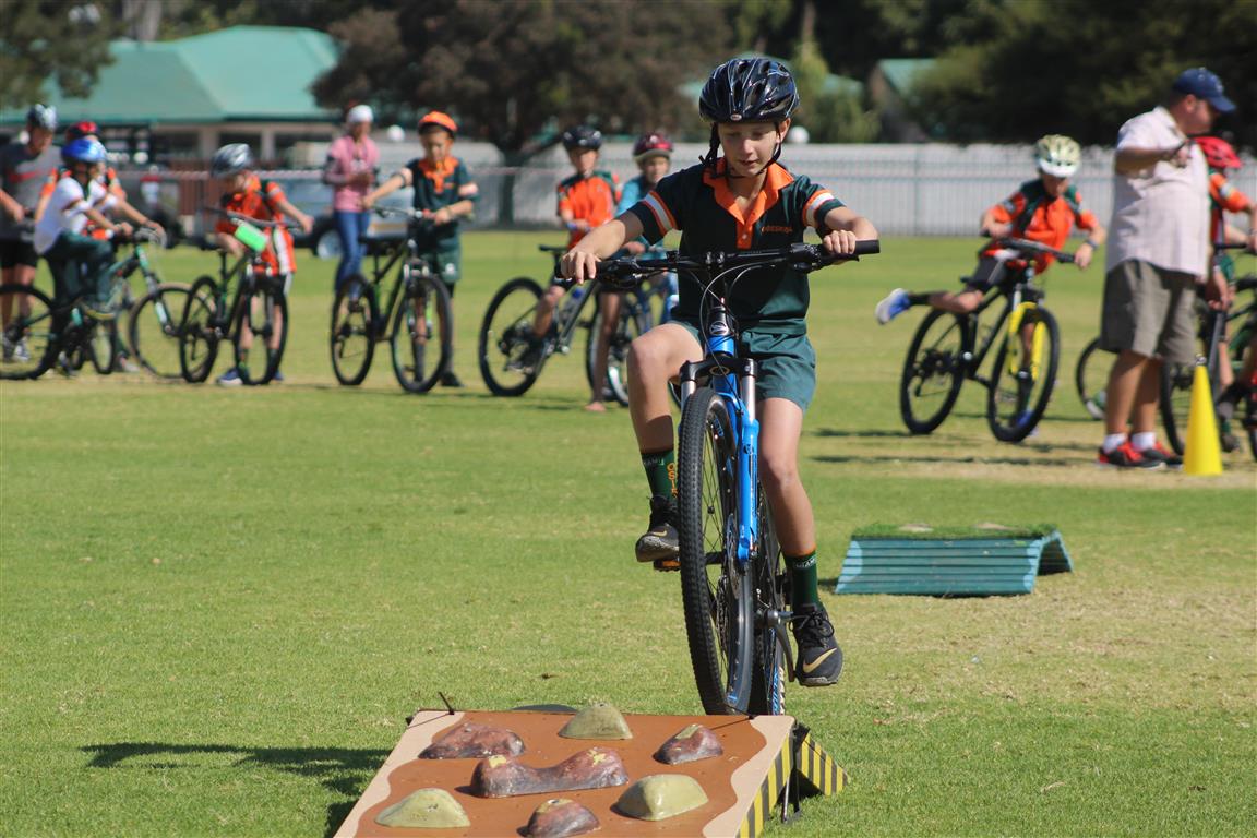 [FOTOS] Osies oor die hindernisse met hul fietse | Review