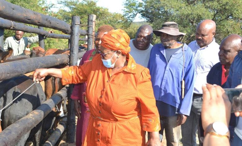 Agri dept launches vaccine campaign against Foot and Mouth Disease | Review