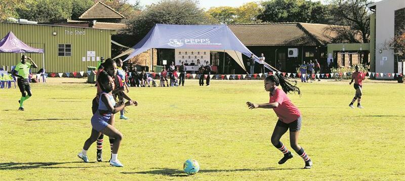 PEPPS host Winter Festival | Review