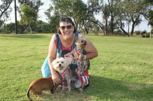 Lanternstap vir 'n goeie doel by Akademie Reformia | Review