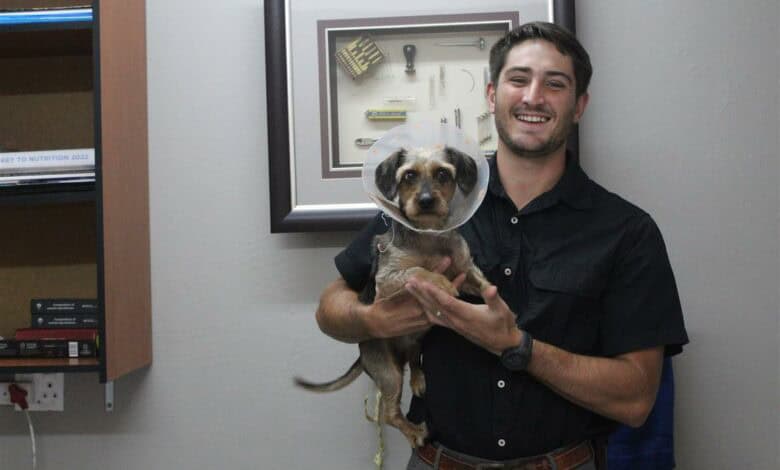 Oud Pietie sluit by Pietersburg Dierekliniek aan | Review