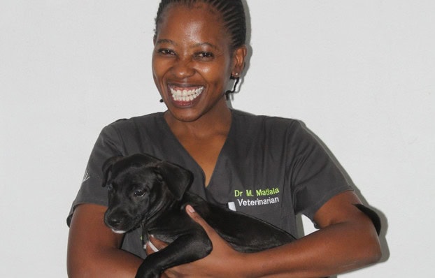 Polokwane SPCA welcomes a new vet | Review