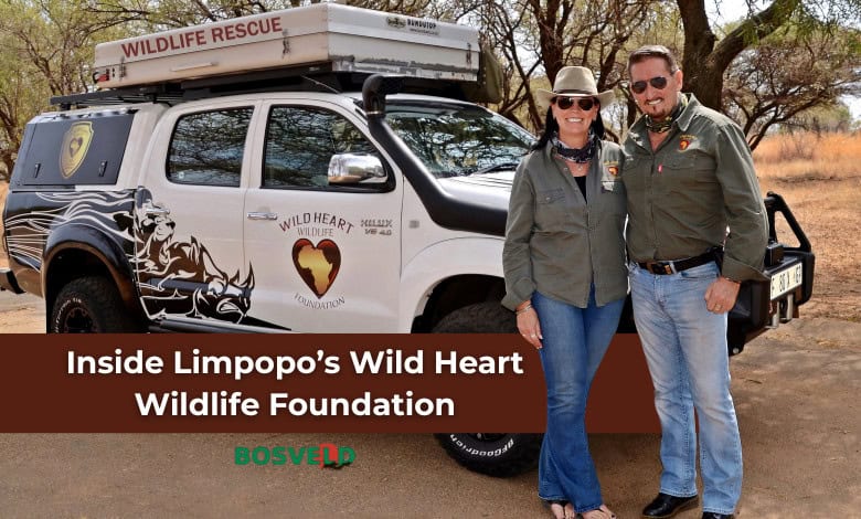 Wild Heart Wildlife Foundation gives animals a second chance | Review