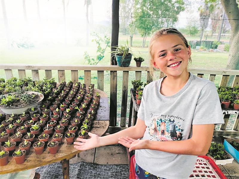 Plante, perde 'n groot liefde vir Polokwane se Miané | Review