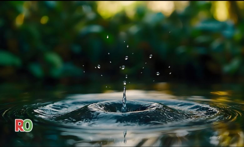 Limpopo dam levels show stark split | Review