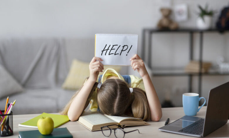 Too much homework and not enough time? | Northcliff Melville Times