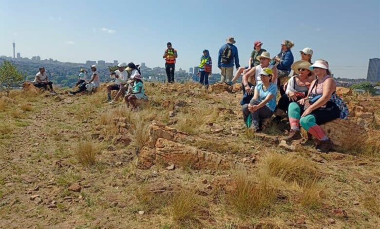 Hiking the Melville Koppies | Northcliff Melville Times