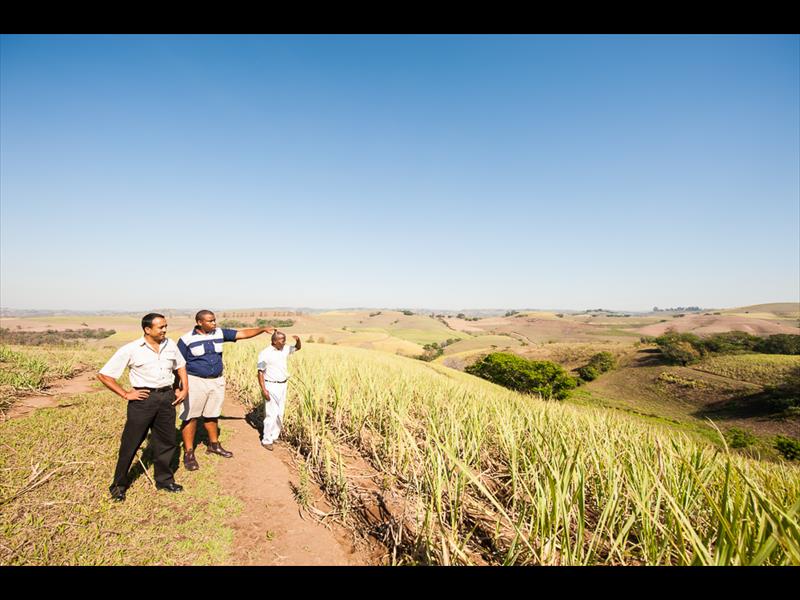 Tongaat farmer leaps ahead | North Coast Courier