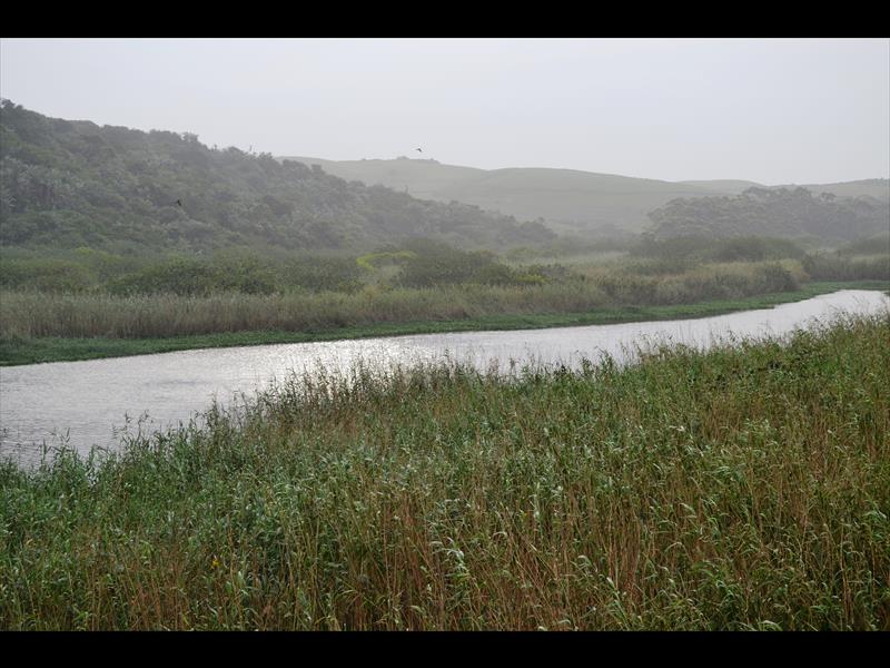 Sewage caused Tongaat river chaos | North Coast Courier