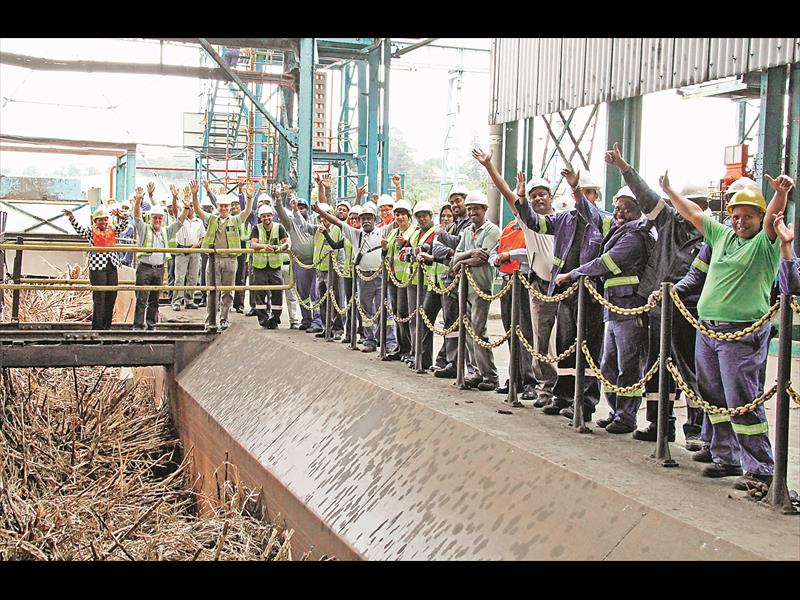 Gledhow mill celebrates 2015/16 crush | North Coast Courier