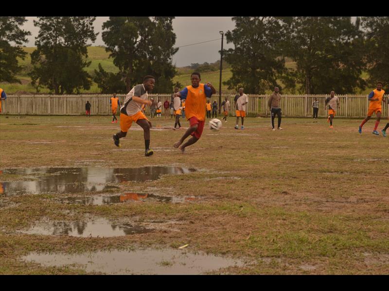 Nkobongo's best selected | North Coast Courier