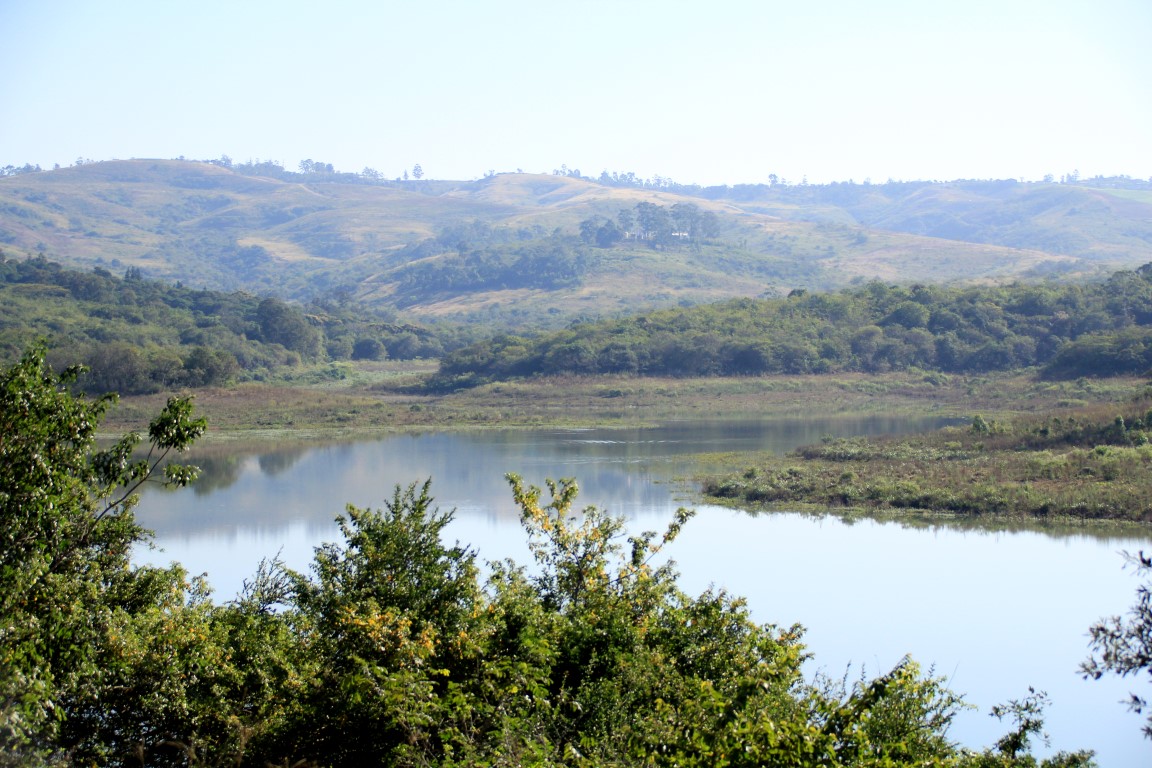 Hazelmere Dam update | North Coast Courier