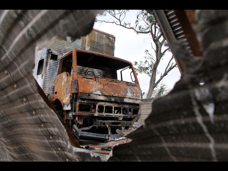 Isithebe, survival of the fittest | North Coast Courier