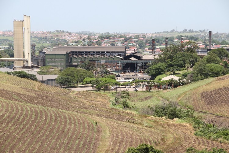 Sugar industry in a sweet place | North Coast Courier