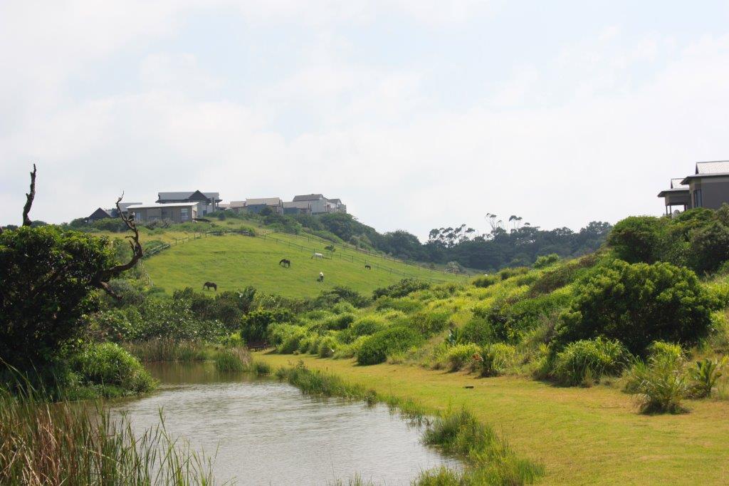 Four of the best golf courses on the Dolphin Coast | North Coast Courier