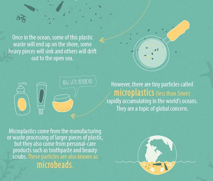 World Oceans Day celebrated with Operation Clean Sweep | North Coast ...