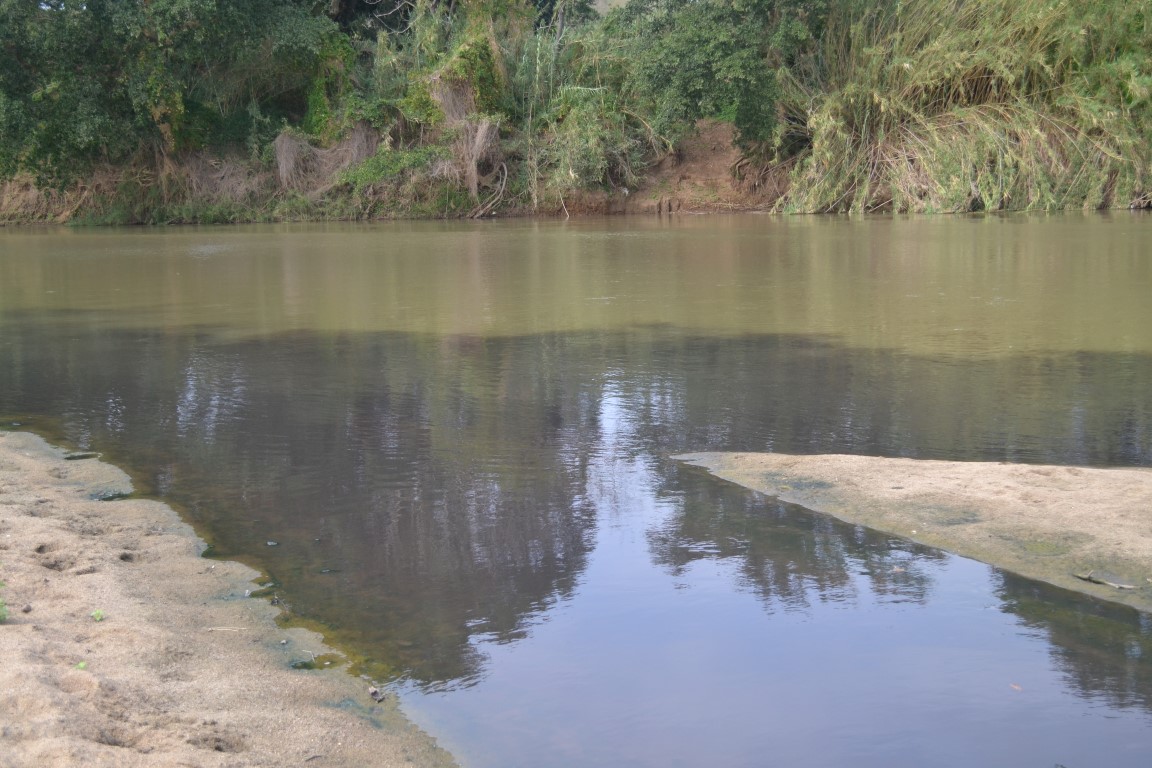Mandeni stink infuriates residents | North Coast Courier