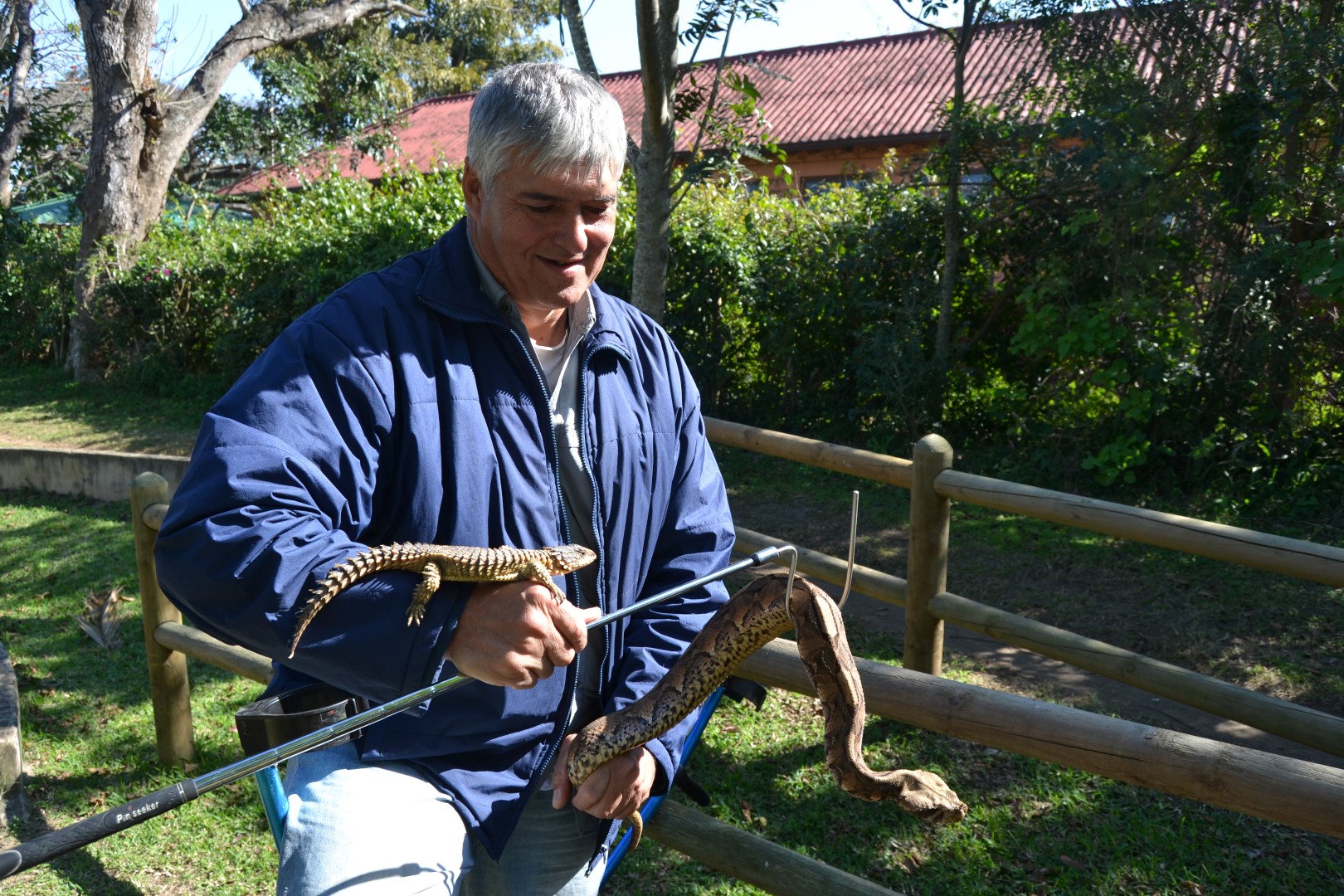 WATCH: The snake king of the Dolphin Coast catches a Vine Snake | North ...