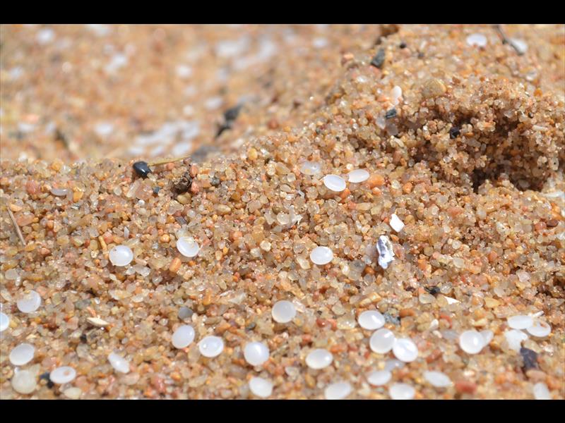 Nurdles going nowhere slowly | North Coast Courier