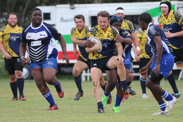 Ballito Dolphins back on song | North Coast Courier