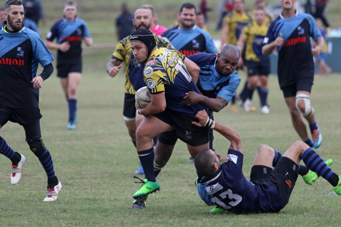 Dolphins back on winning track | North Coast Courier