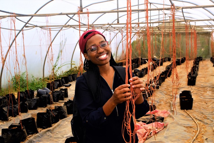 Light at the end of the veggie tunnel - Ilembe | North Coast Courier