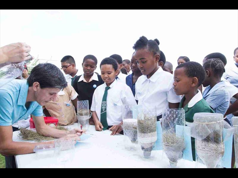 Pupils pledge to save water as part of national water week | North ...