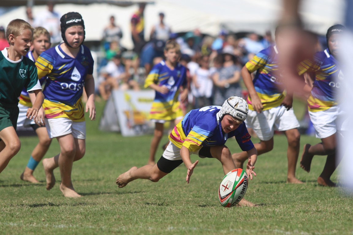 Triple victory for Ballito Dolphins Rugby Club | North Coast Courier