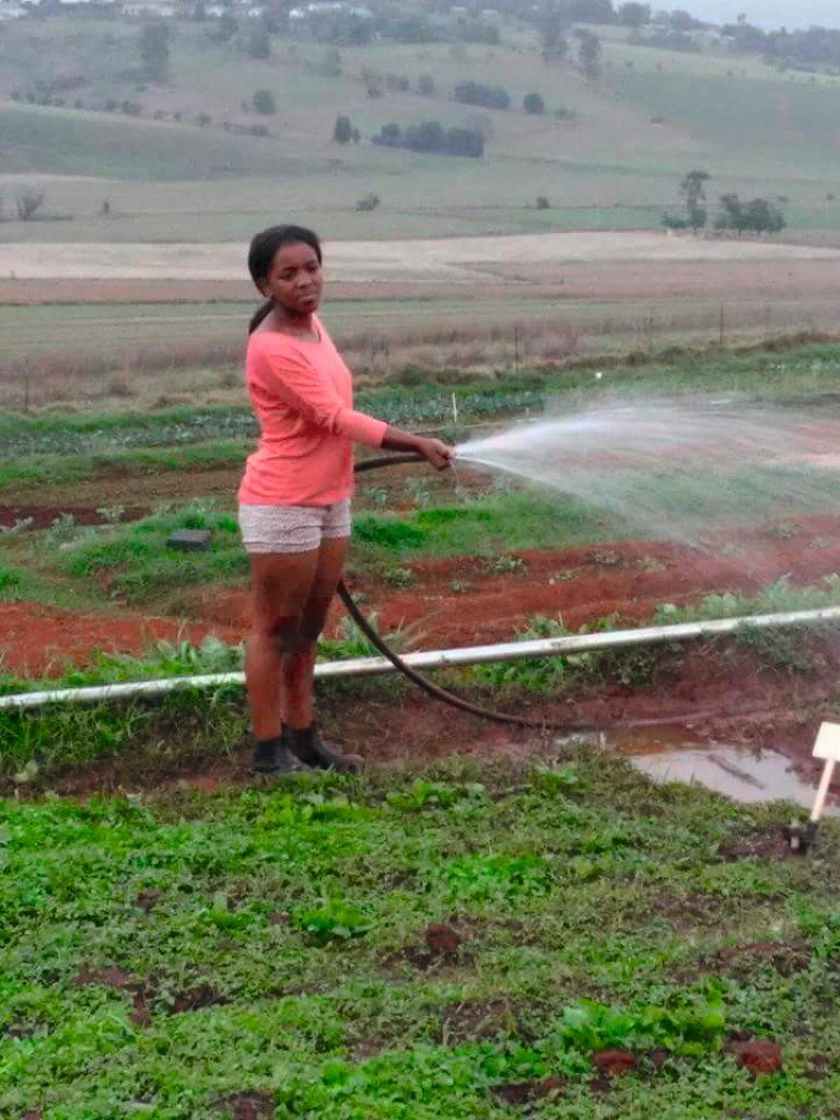 African Agricultural conference: plans to empower Ilembe's developing ...