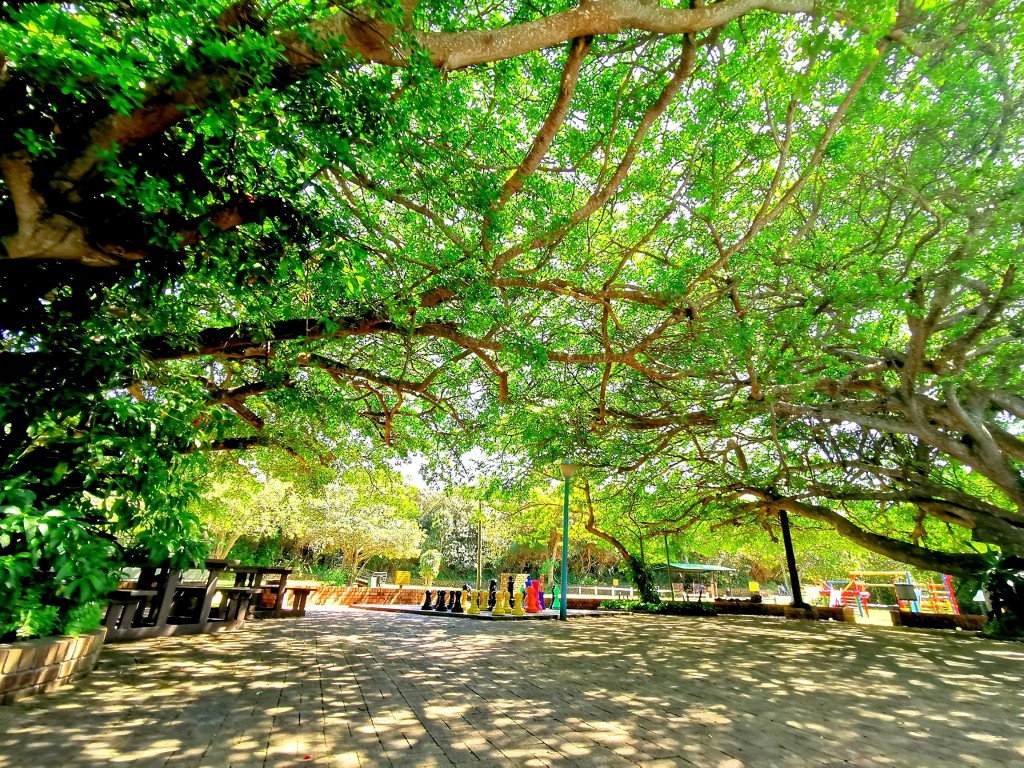 Seven super caravan resorts in KZN | North Coast Courier